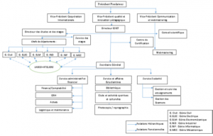 Organizational chart – Arab University of Sciences